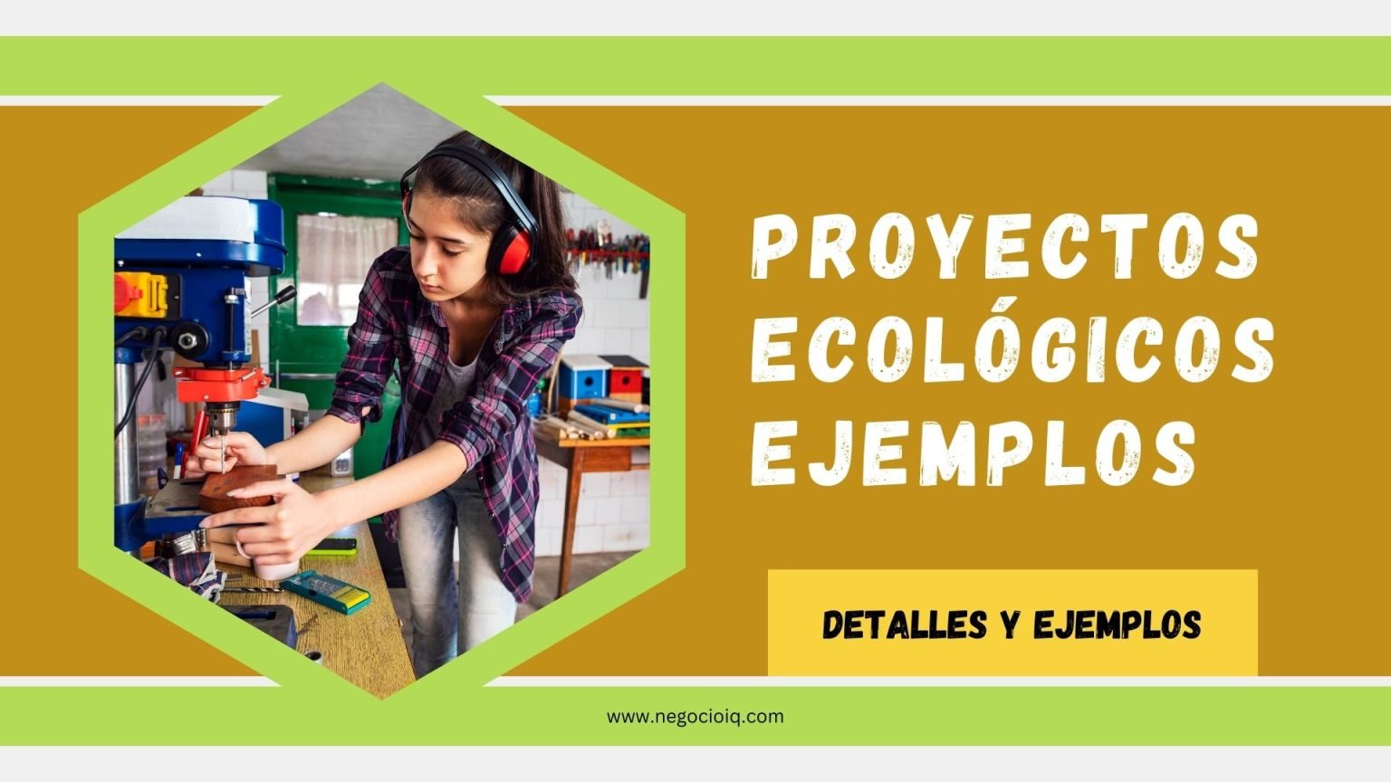 Proyectos Ecológicos: Tipos, Ejemplos E Ideas Sustentables - Negocio IQ